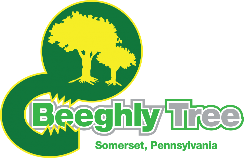Beeghly Tree Service | Certified Commercial Tree and Land Clearing