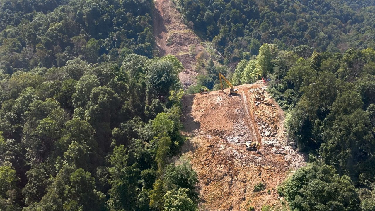 Beeghly Tree Service | Certified Commercial Tree and Land Clearing