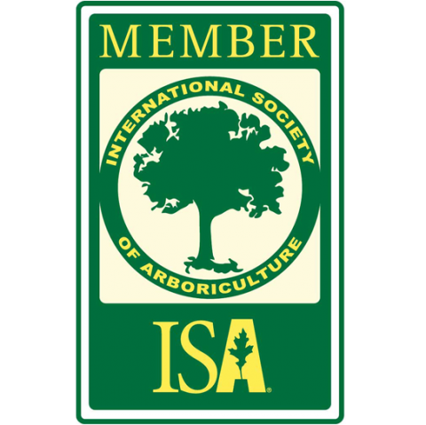 Beeghly Tree Service | Certified Commercial Tree and Land Clearing