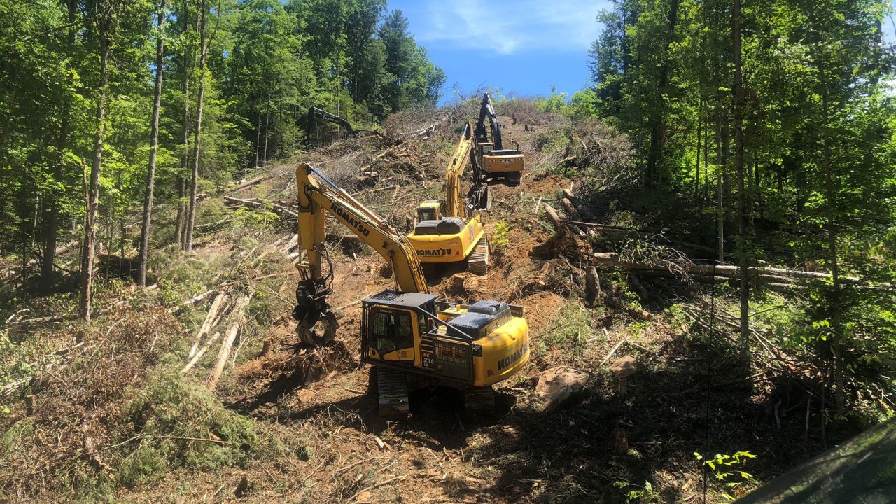 Beeghly Tree Service | Certified Commercial Tree and Land Clearing