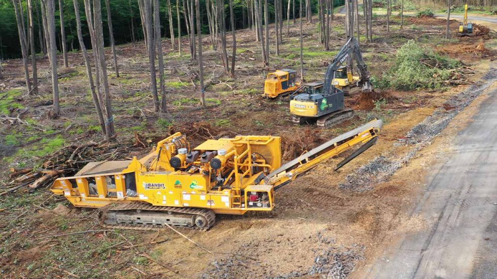 Beeghly Tree Service | Certified Commercial Tree and Land Clearing